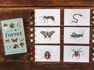 Minibeasts printables bundle | Insects ladybird worm spider grasshoppe ...