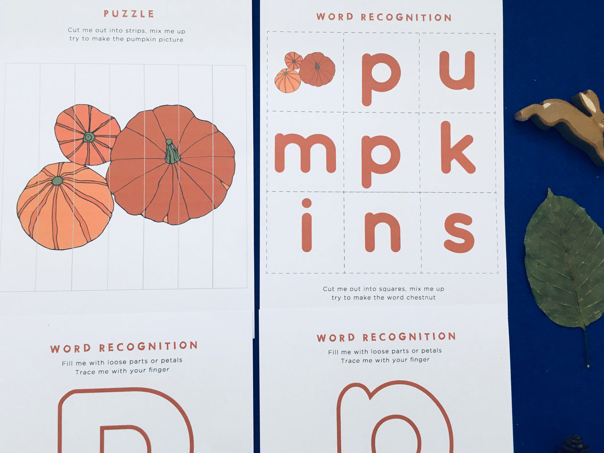 Pumpkin study unit – GABITAT EMPORIUM