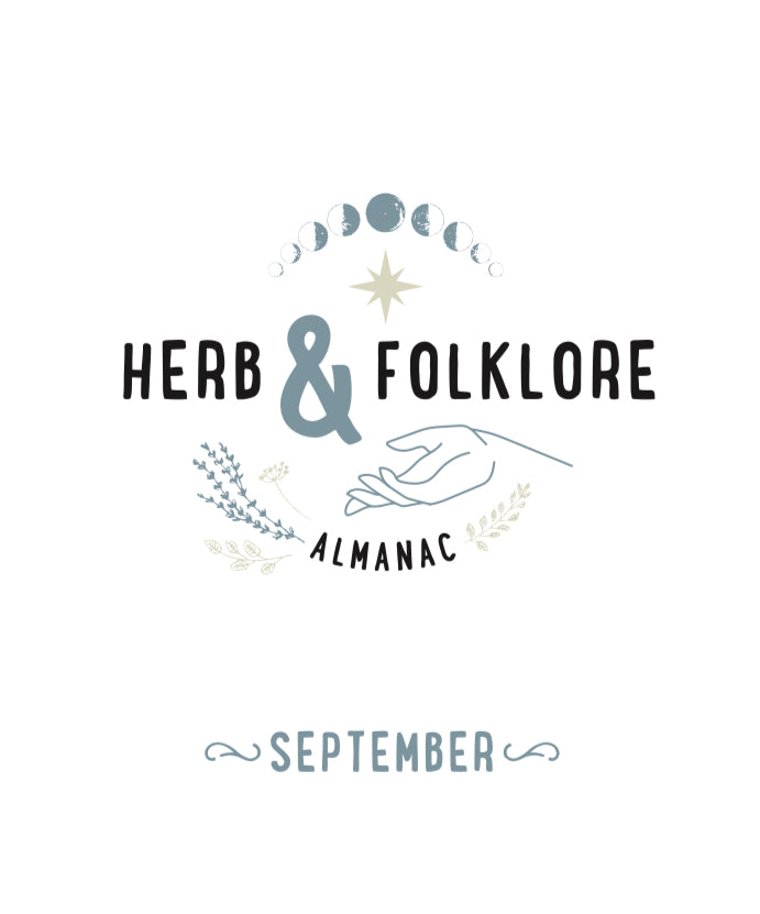Herb and Folklore September Yarrow – GABITAT EMPORIUM
