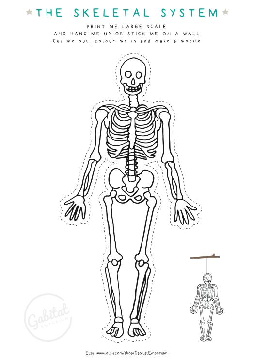 Skeletal Cut Out – GABITAT EMPORIUM