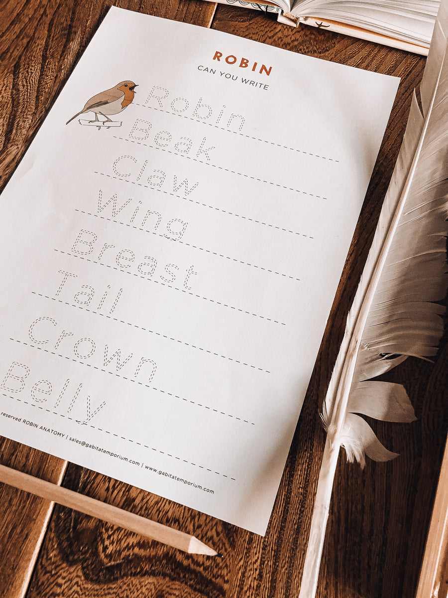 Robin anatomy – GABITAT EMPORIUM