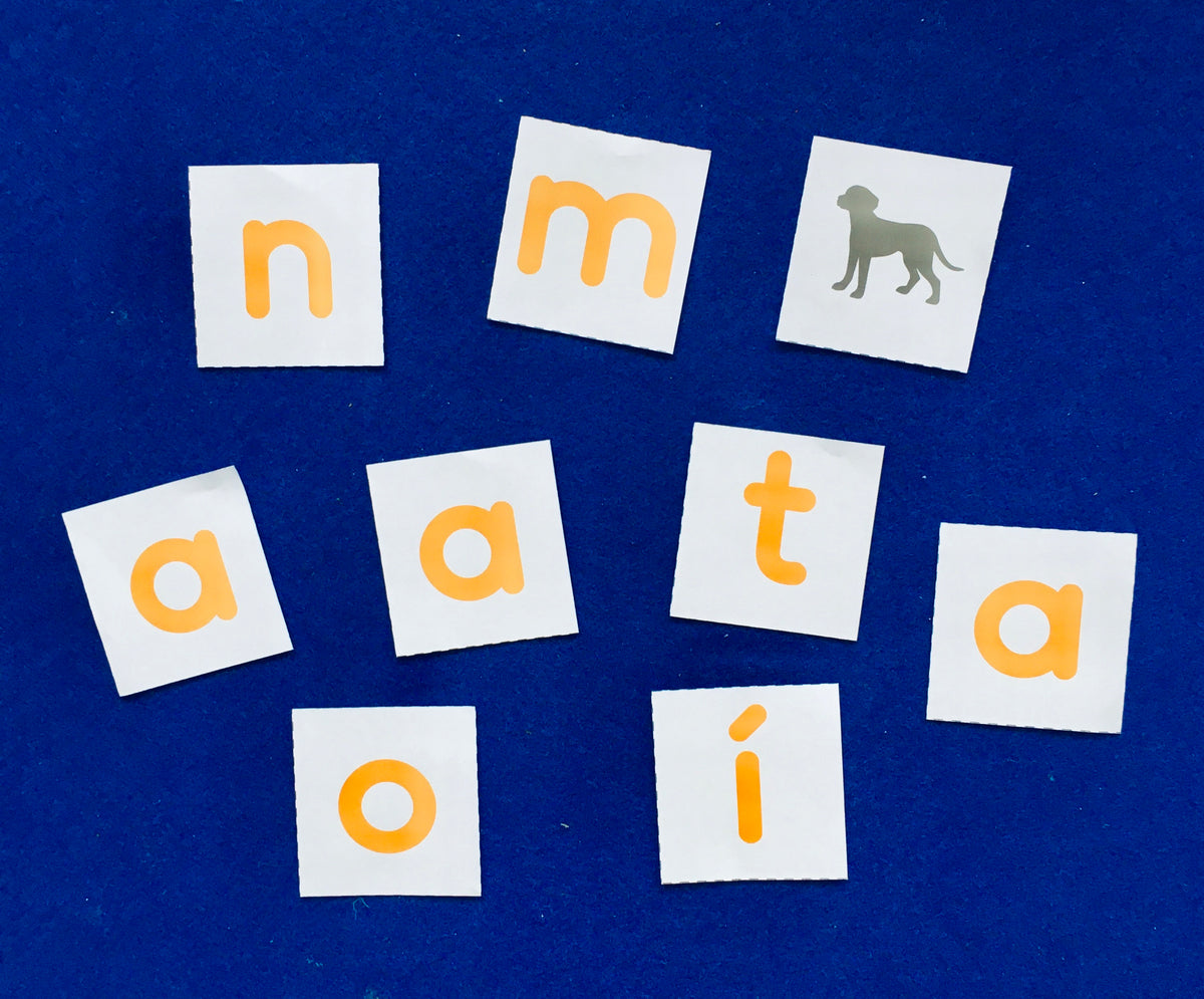 Spanish and English Dog anatomy | reproductive system – GABITAT EMPORIUM